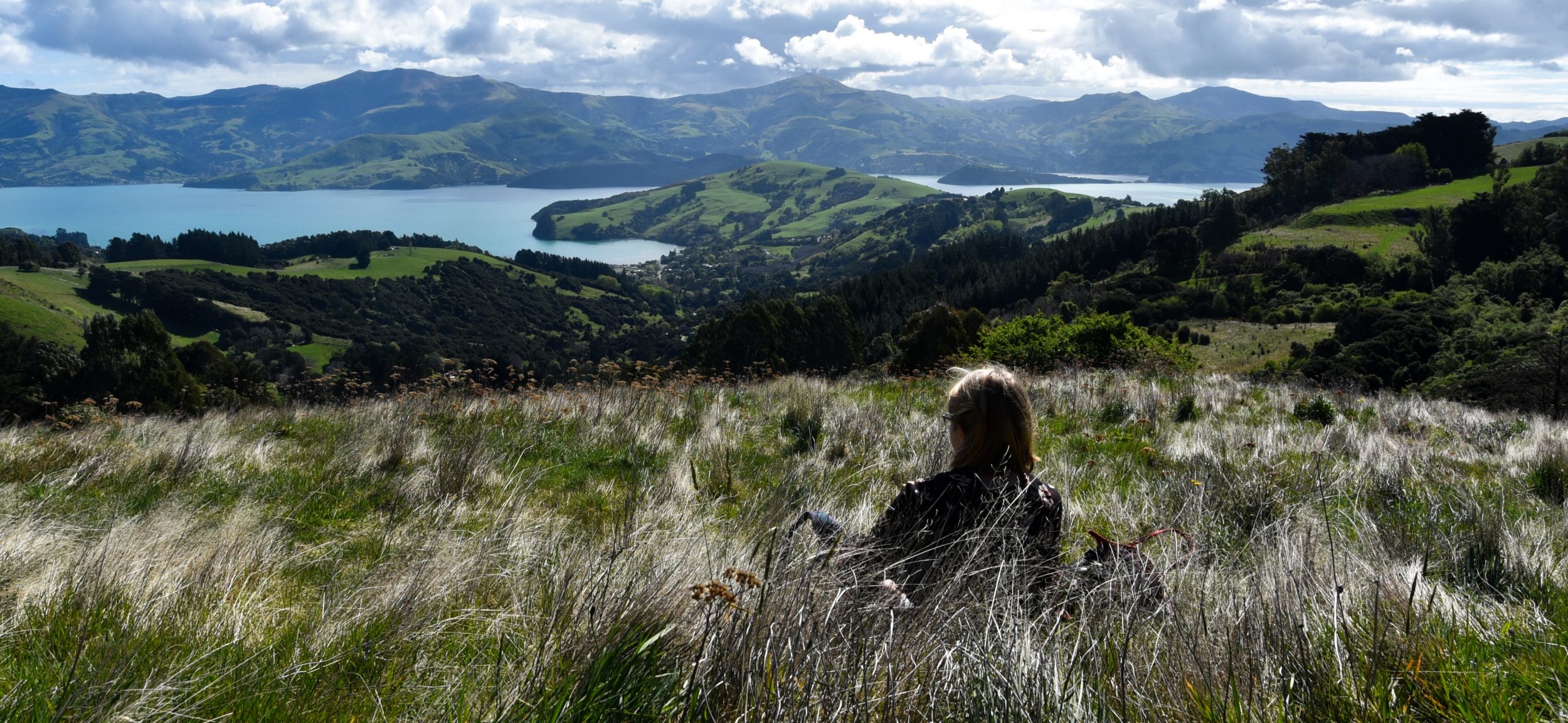 Top reasons to visit historic Akaroa